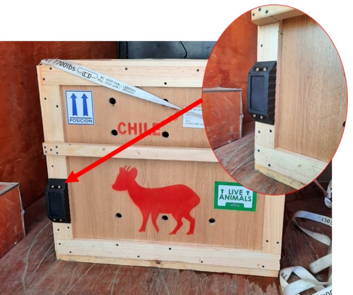 High-value monitoring: How Bilbao Air Cargo used FleetUp to protect a ...